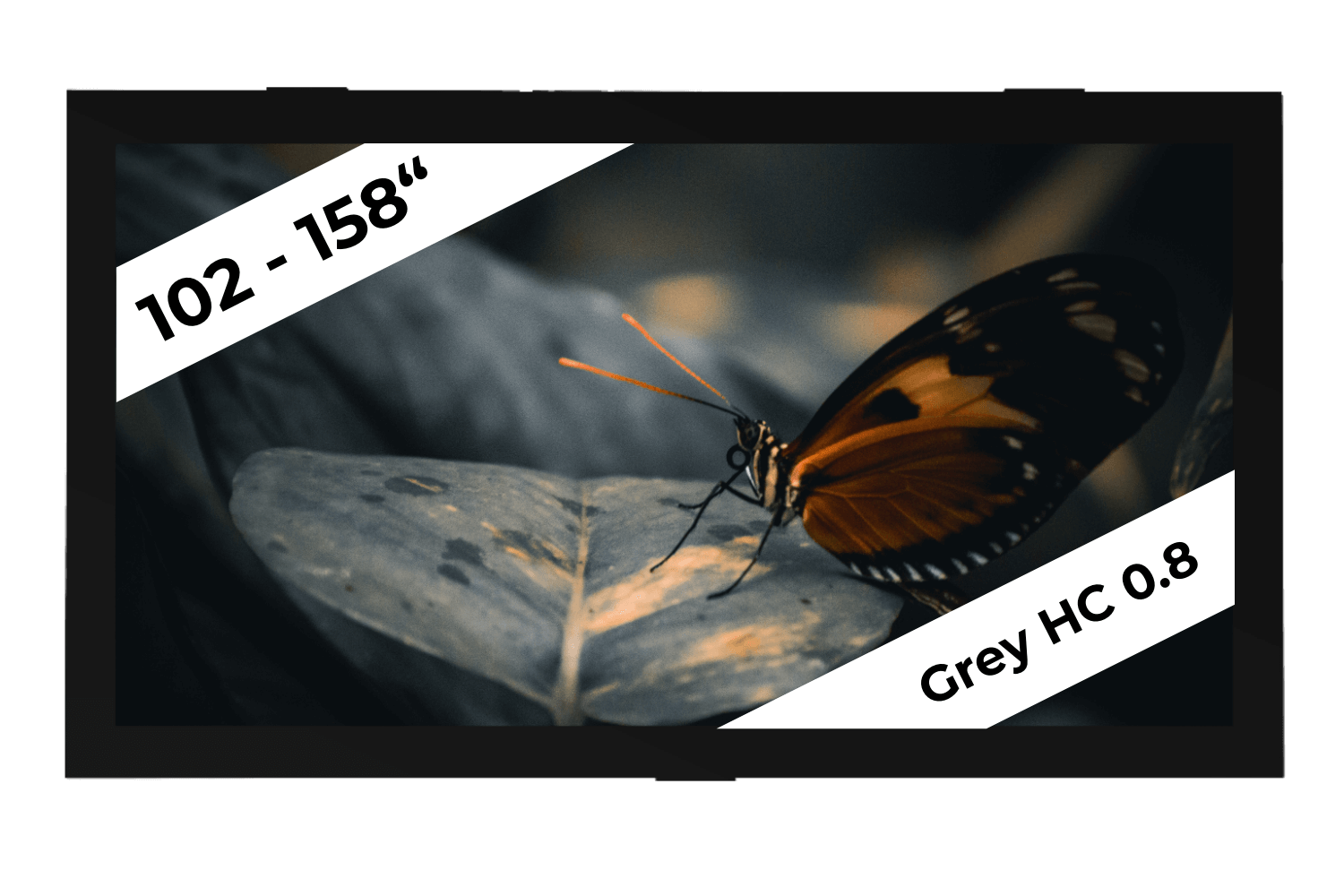 WS S CinemaFrame | Grey HC (High Contrast 0.8) | 16:9 Rahmenleinwand